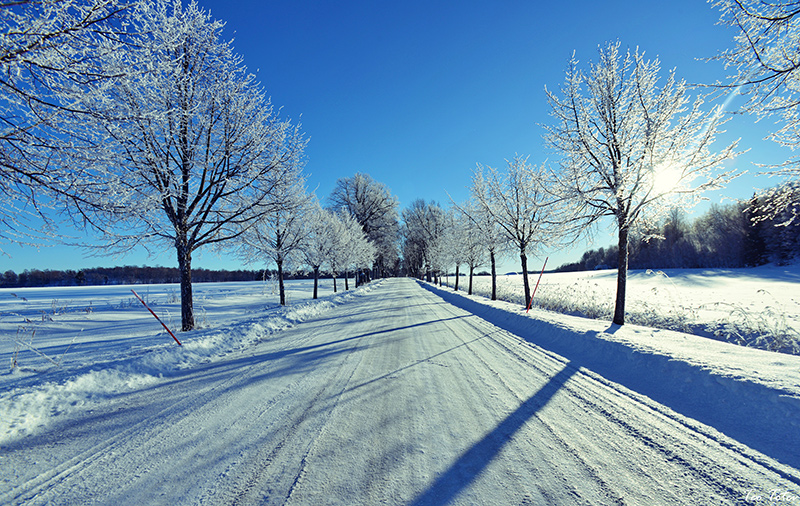 Sweden Winter